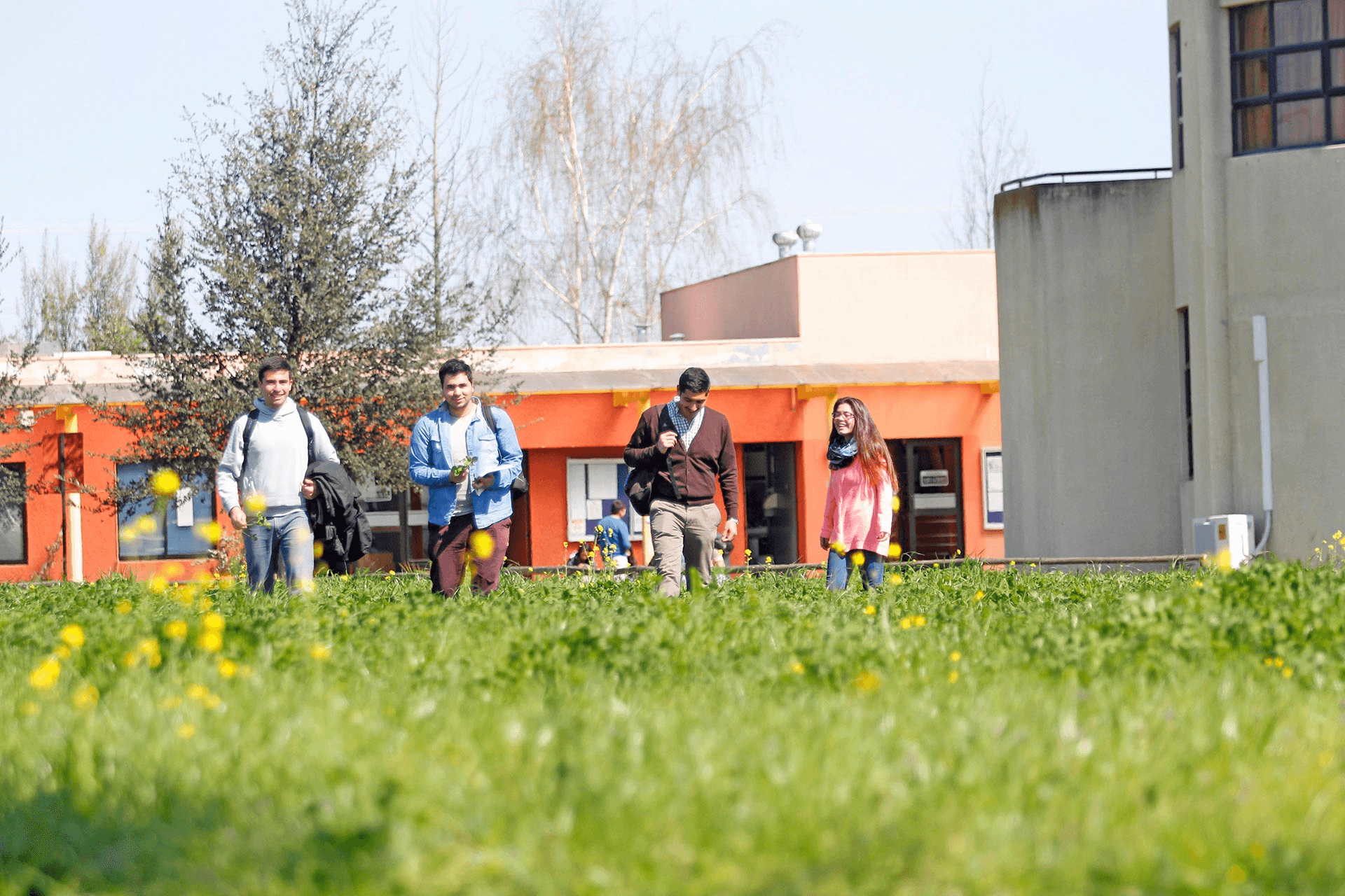 Con gran éxito se realizan los programas de prosecución de estudios de ...
